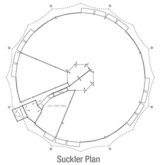 Roundhouse Building Solutions - Beef Cattle